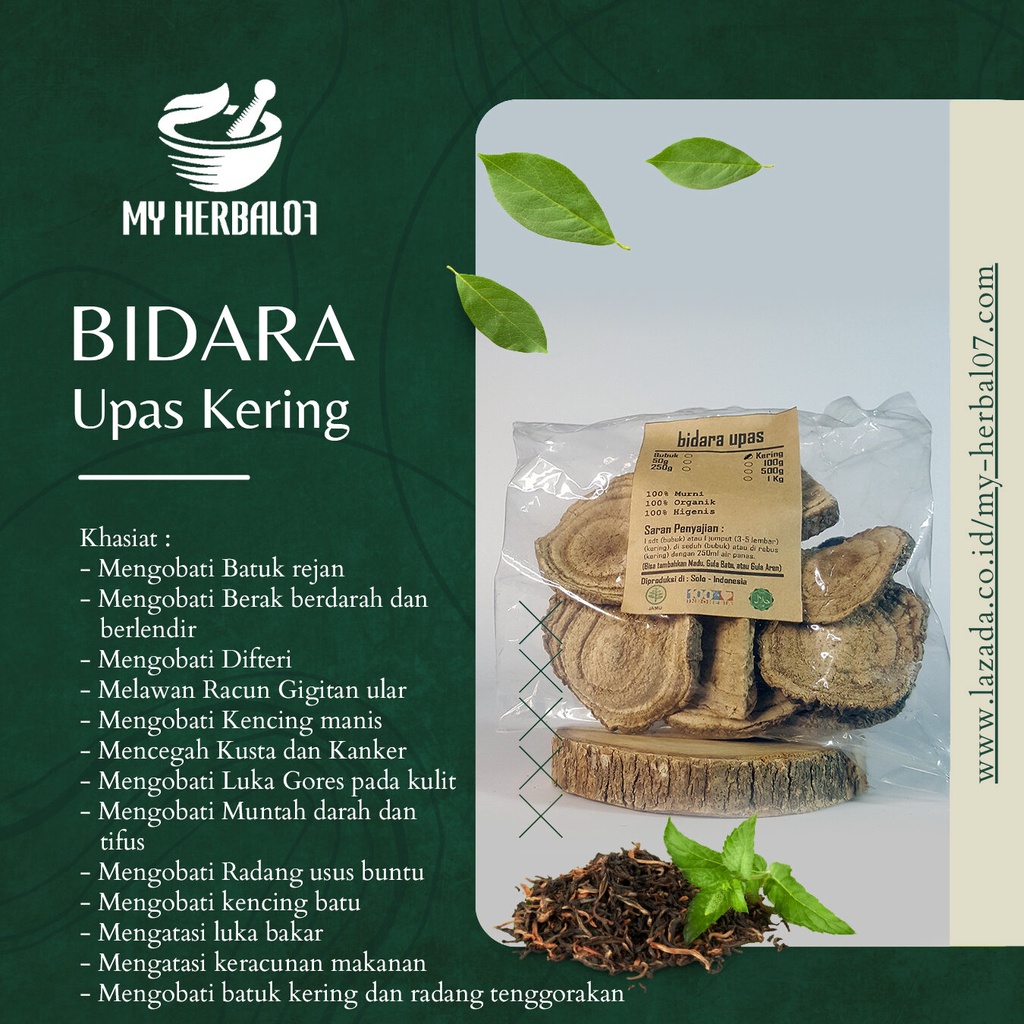 Jual Herbal Kesehatan Bidara Upas Kering / Merremia Mammosa 1 Kg ...
