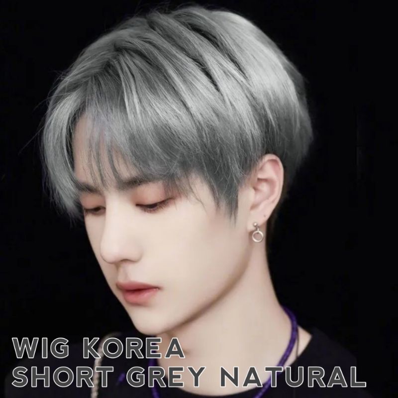 Jual Wig Pria Rambut Pendek Korea Warna Abu - Abu Versi Model Laki-laki ...