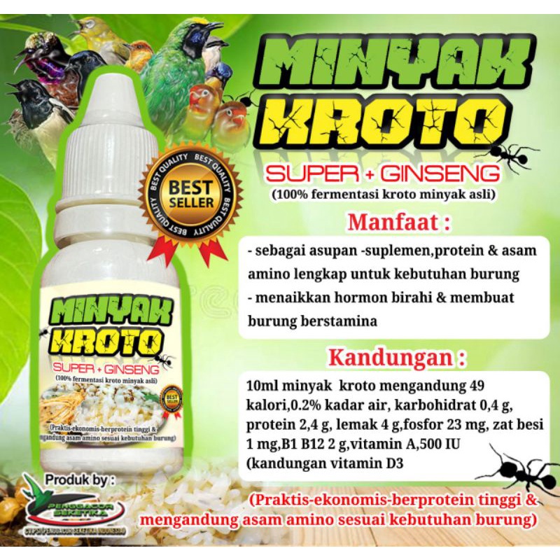 Jual minyak kroto super plus ginseng 100% fermentasi kroto minyak asli ...