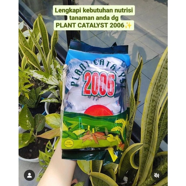 Jual CNI Plant Catalyst 2006 (sachet) 1kg (10 x 100g) | Shopee Indonesia