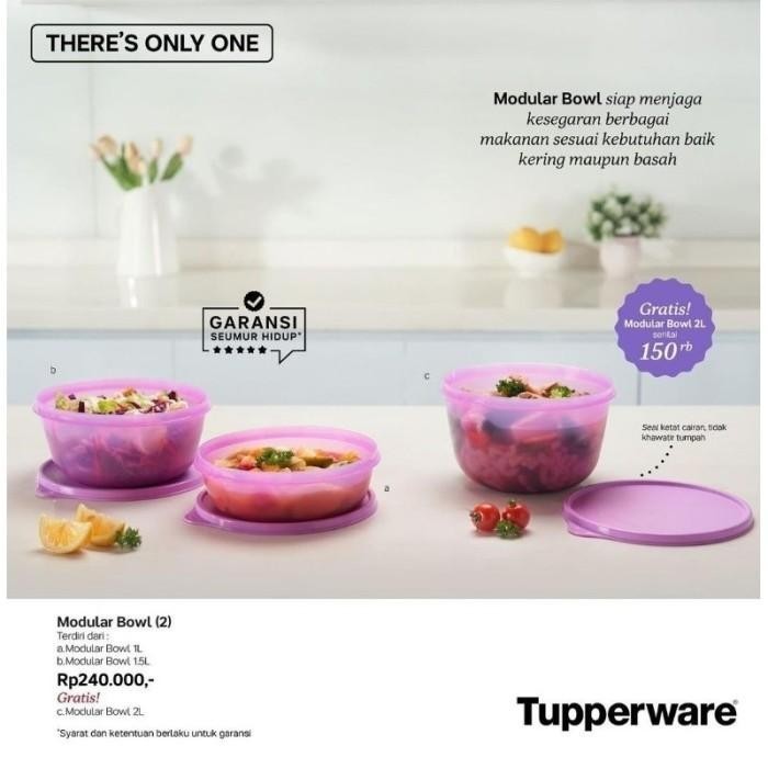 Jual HOA -640 MODULAR BOWL ISI 3 ,MANGKOK PLASTIK TUPPERWARE | Shopee ...