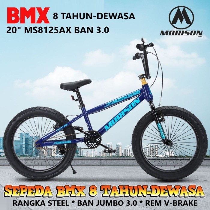 Jual Sepeda BMX Morison MS8125AX 3.0 Fatbike Ban Bergambar 20 Inci x 3. ...