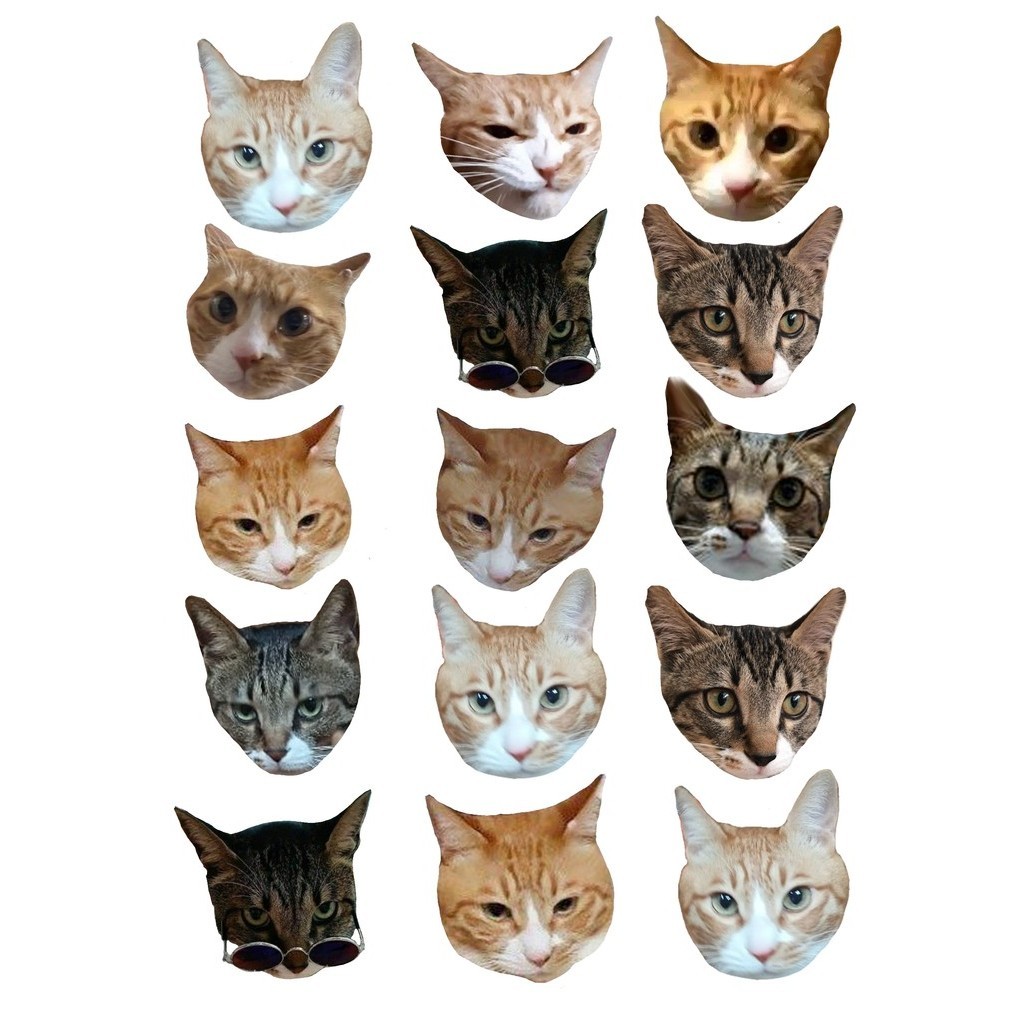 Jual Sticker Kucing Lee Know / Bahan Vinyl Tahan Air | Shopee Indonesia