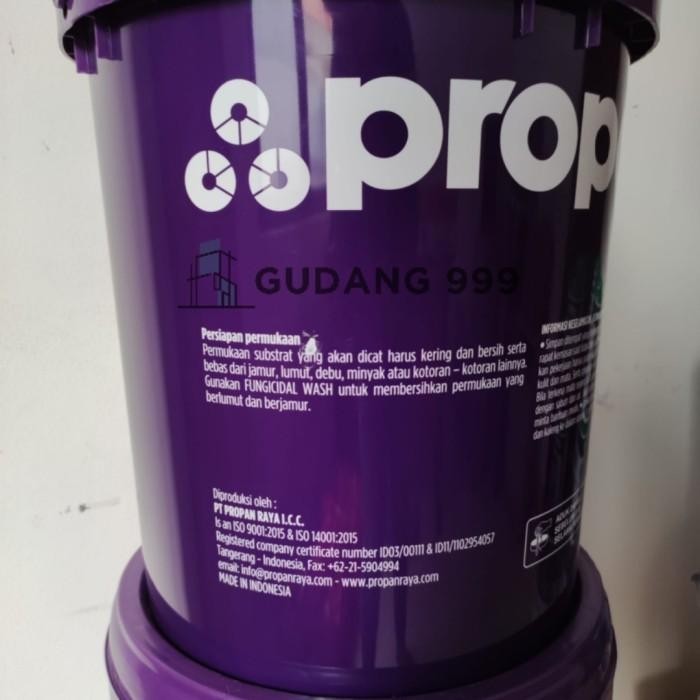 Jual CAT GYPSUM / CAT PLAFON / ECO GYPSUM PROPAN 25 KG / WHITE PUTIH ...