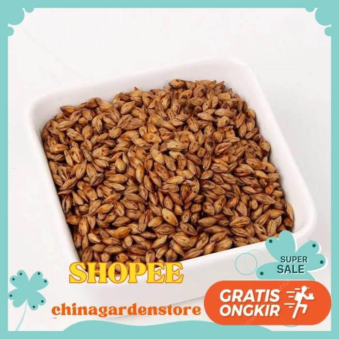 Jual TEH GANDUM / MUGICHA BORICHA / TRADITIONAL ROASTED BARLEY TEA ...