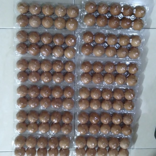 Jual SGS MIKA TELUR EGG TRAY TRAY TELUR ISI 10 BUTIR TANPA PENGUNCI 50 ...