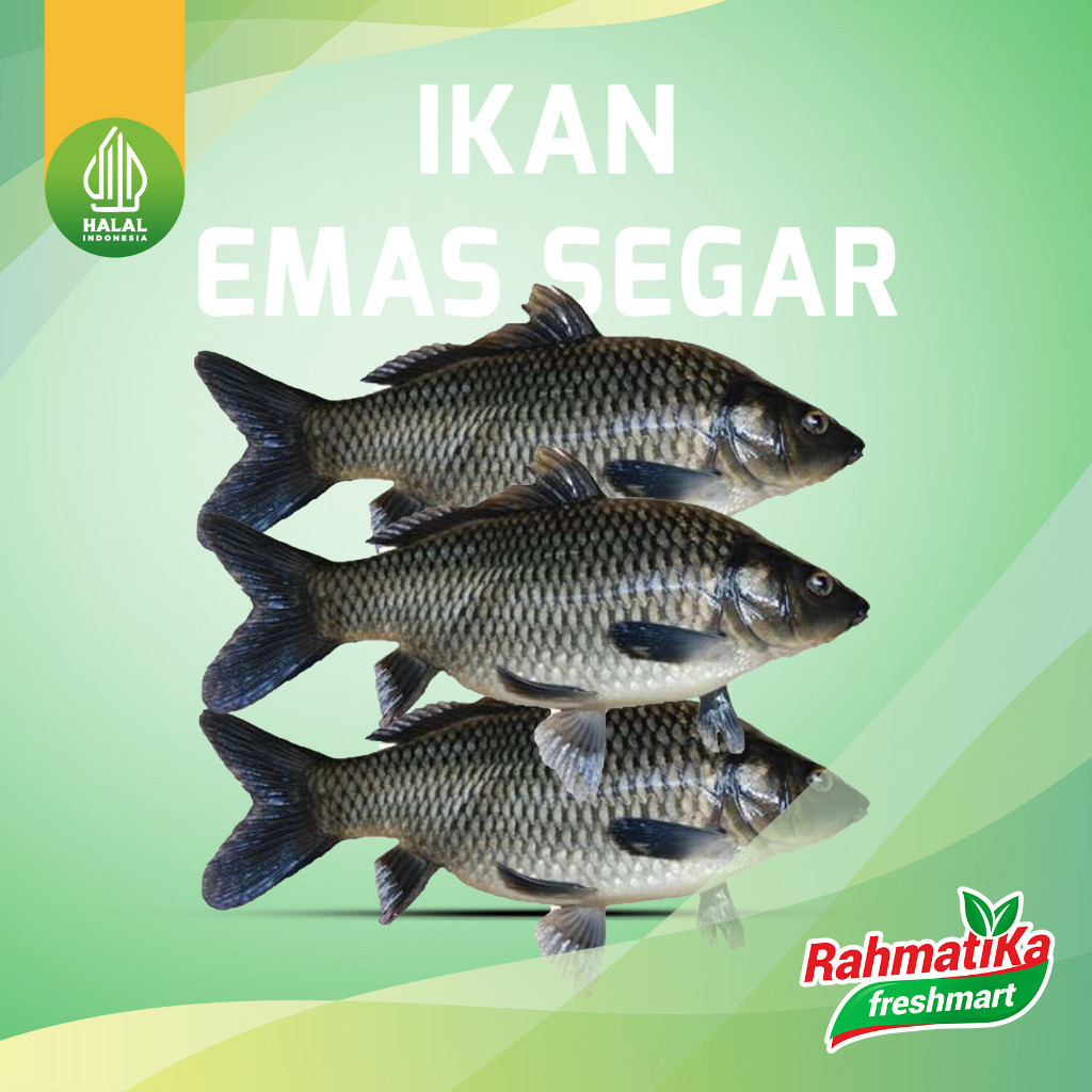 Jual Ikan Mas Segar / Ikan Emas Fresh 1 Kg | Shopee Indonesia