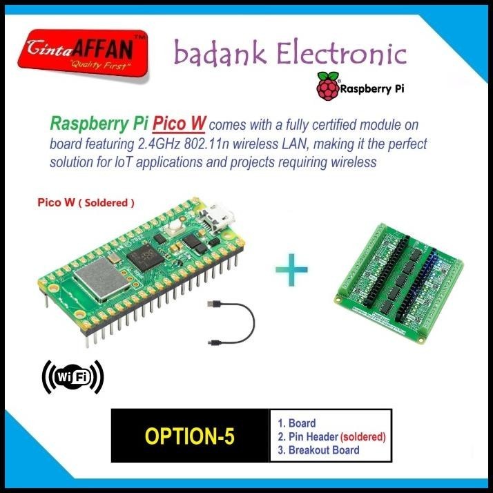 Jual HOT DEAL OPTION-5 : RASPBERRY PI PICO WH + BREAKOUT BOARD + USB ...