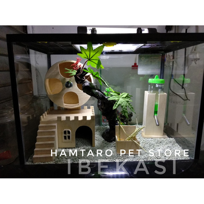 Jual Terarium Kandang Hamster Medium , Jungle theme Aquarium Hamster unik | Shopee Indonesia