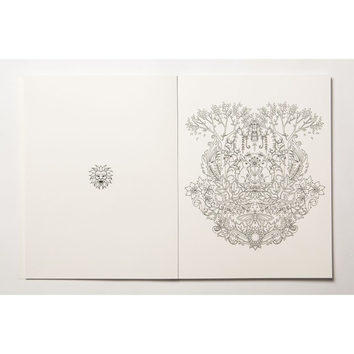Jual Enchanted Forest Artists Editionby Johanna Basford Adult Coloring ...