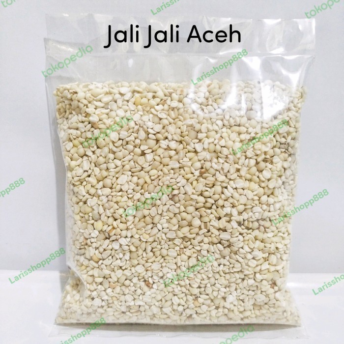 Jual Barley Pearl / Biji Jali Jali Aceh Lokal Premium 500 Gr / Halal | Shopee Indonesia