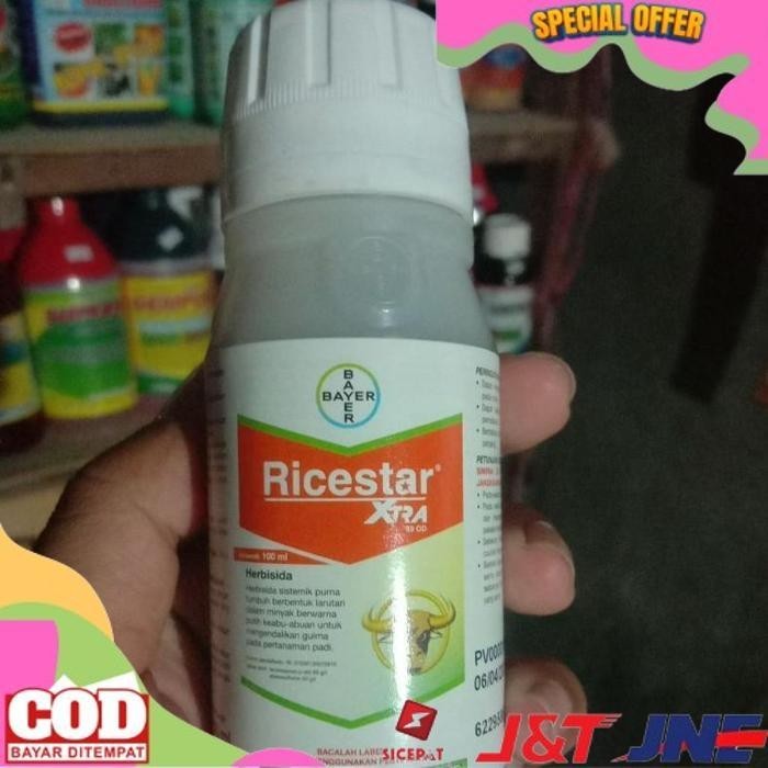 Jual RICESTAR EXTRA 100ML HERBISIDA 89OD BANTENG DISKON50% | Shopee ...