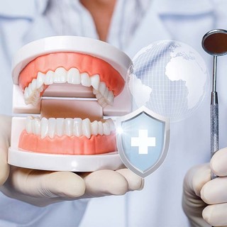 Jual Model Gigi Edukasi Dental Study Model Phantom Gigi Lepasan ...