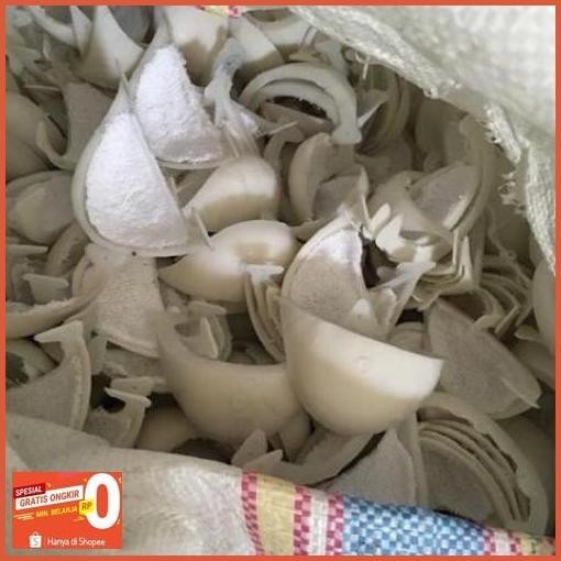 Jual Extra Sarang Walet Imitasi Merk Koloni Walet /Sarang Imitasi ...