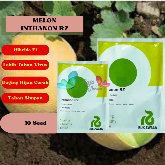 Jual Benih Melon Inthanon Rz F1 Ori - Repack 10 50 100 Bibit Biji Melon ...