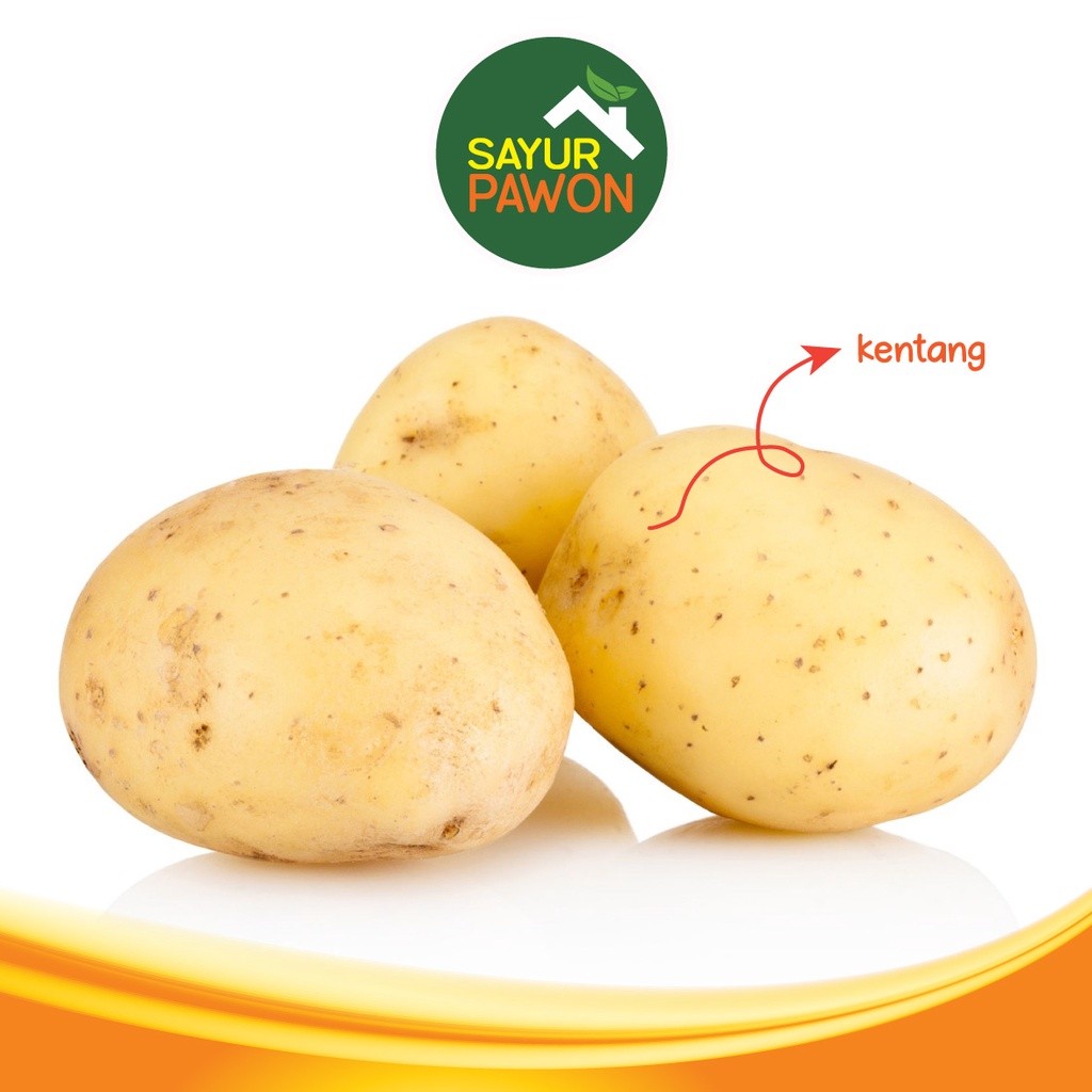 Jual KENTANG BESAR [per 500 gram] | Shopee Indonesia