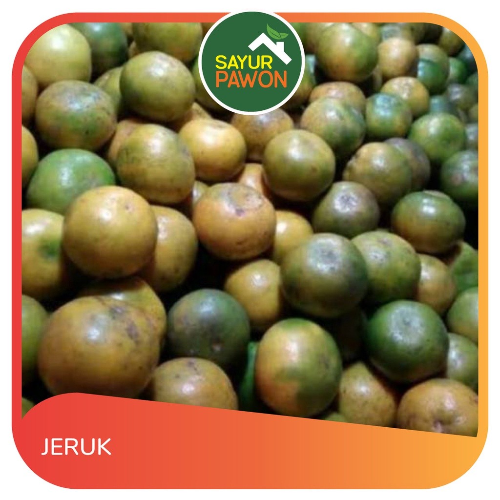 Jual JERUK per 1 kg | Shopee Indonesia