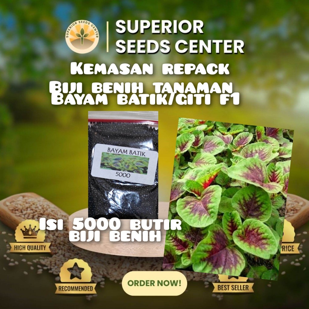 Jual 5000 butir biji benih tanaman sayuran bayam batik/bayam giti f1 ...