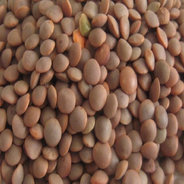 Jual Buruan beli] Kacang Sabut Masoor Dal 1kg / Lentil / Masoor Dal ...