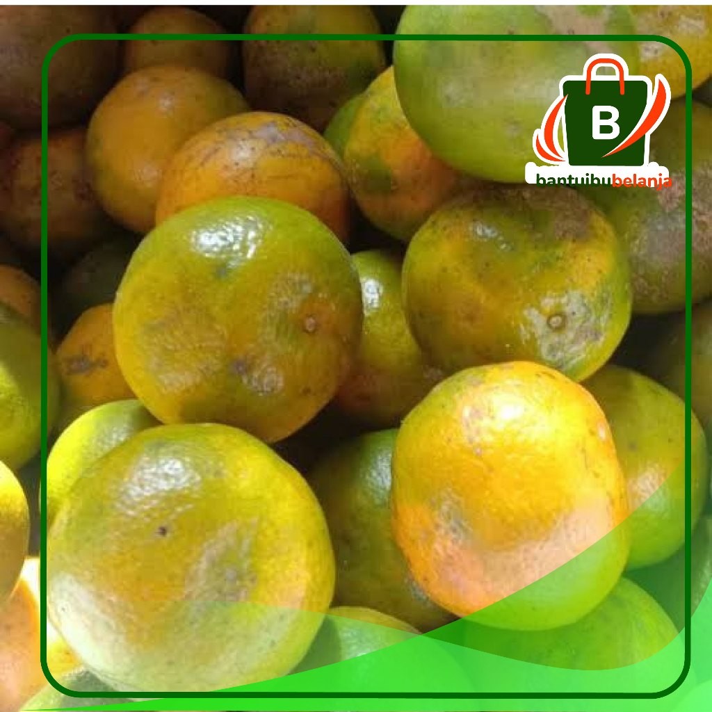 Jual JERUK per 1 kg | Shopee Indonesia