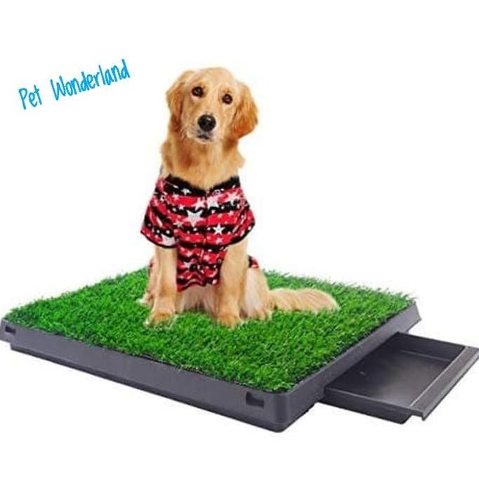 Jual HARGA DISC - Pet Toilet Tray Anjing Pee Poo - Dog Toilet With ...