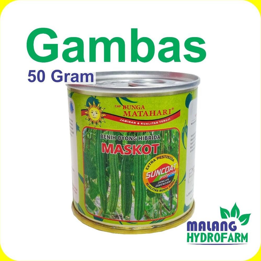 Jual Benih Gambas Maskot 50 g Cap Bunga Matahari dataran rendah sampai ...