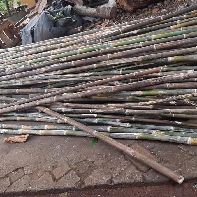 Jual New bambu Jepang untk umbul2/bendera perbatang panjang 3 meter ...