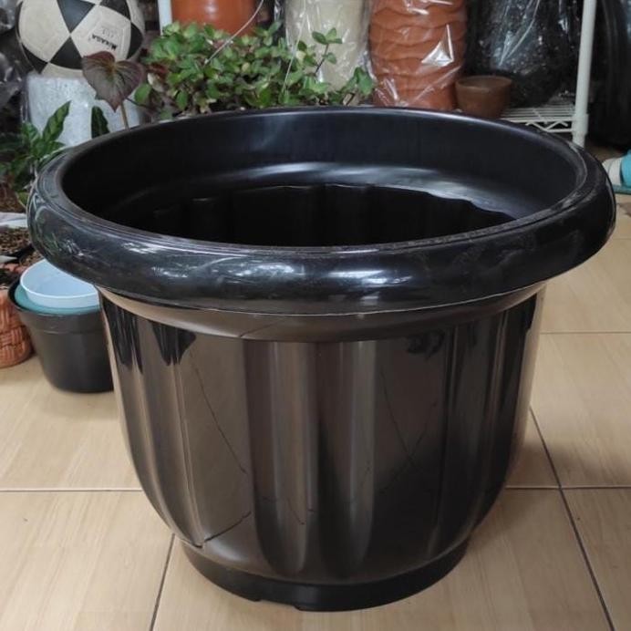 Jual POT BESAR 50 HITAM MENGKILAP JUMBO POT TANAMAN BESAR MURAH Nugi ...