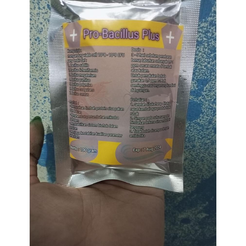 Jual Probiotik bacillus plus 100 gram / bacillus / probiotik bioflok ...