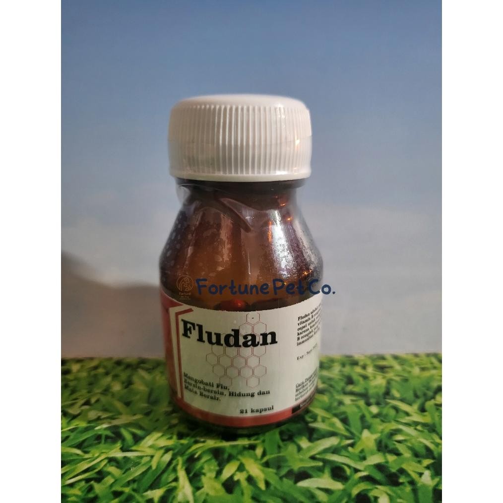 Jual ARS Fludan - Obat Pilek Flu Kucing Obat Ingusan Kucing Cair Viral ...
