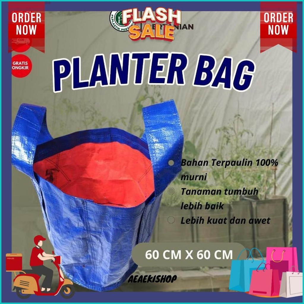 Jual Planterbag Terpal Ukuran 60X60 Korea Gratis Ongkir | Shopee Indonesia
