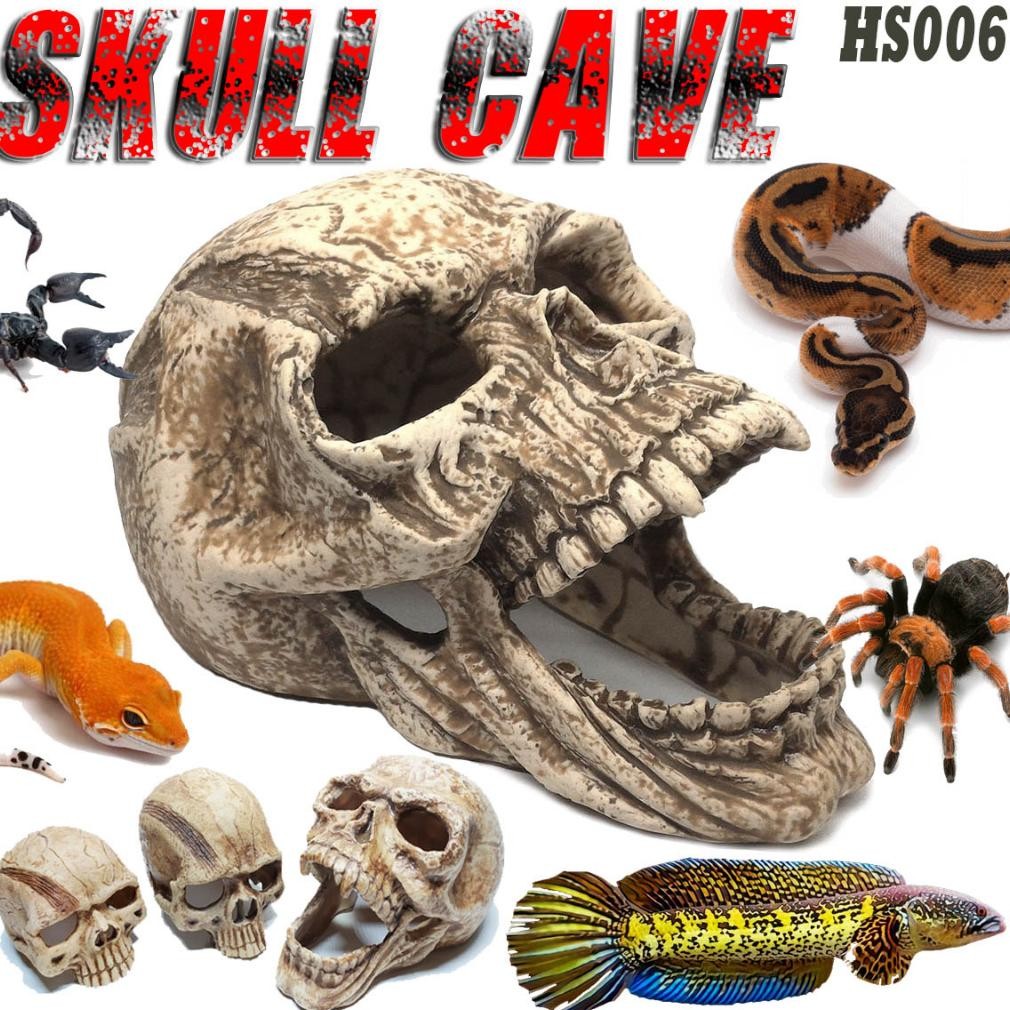 Jual HS006 HIDINGCAVE TEMPAT SEMBUNYI REPTILE ORNAMEN FOSIL SKELETON ...