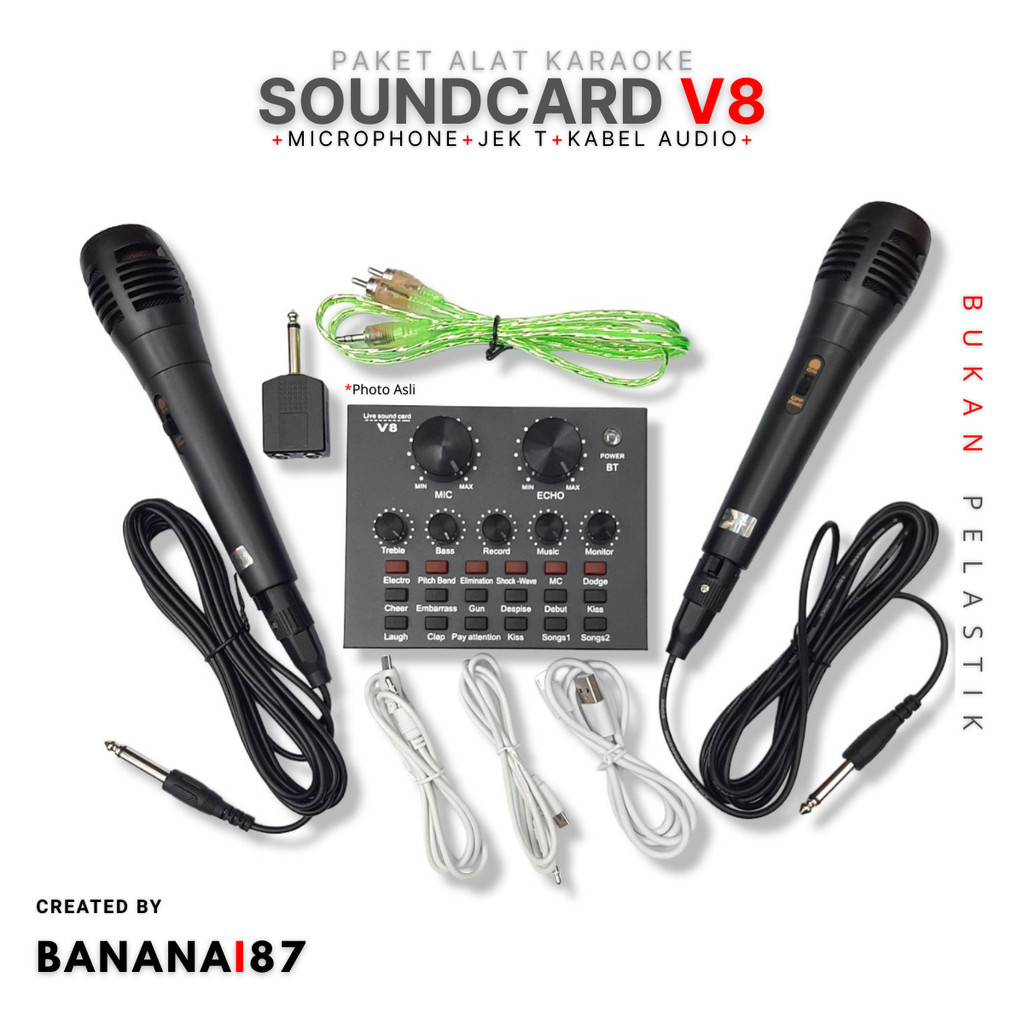 Jual Satu Set Lengkap Alat Karaoke Portable Bluetooth Audio USB ...
