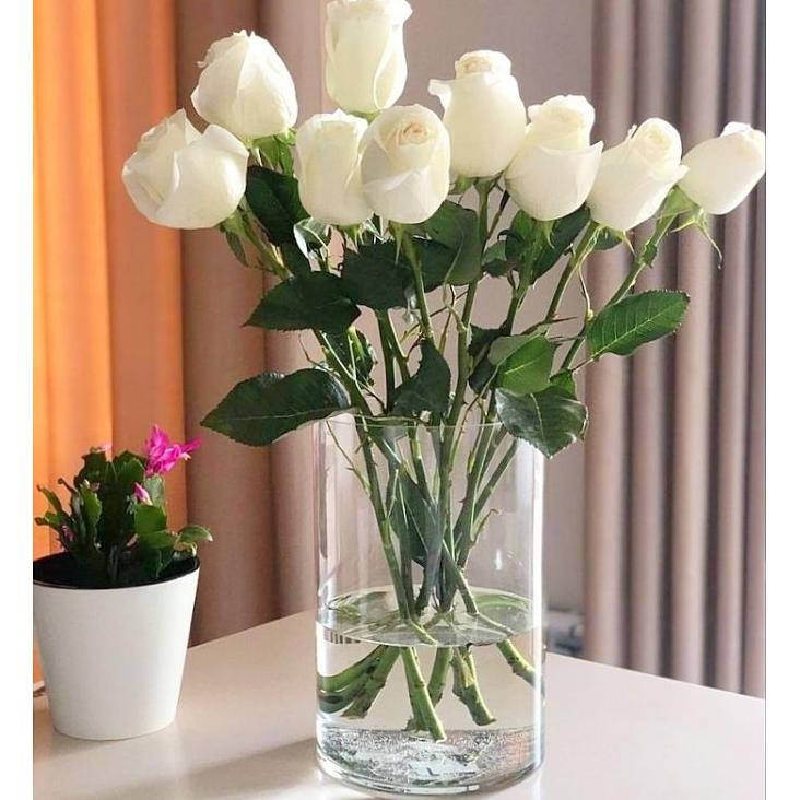 Jual Vas Bunga Kaca Bening Vas Tabung Minimalis Pot Air Hoponik ...