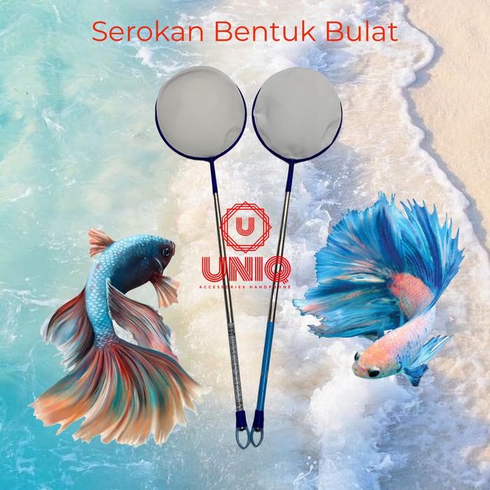 Jual SARINGAN SEROKAN PEMISAH CANGKANG ARTEMIA 1 SET STAINLESS | Shopee ...