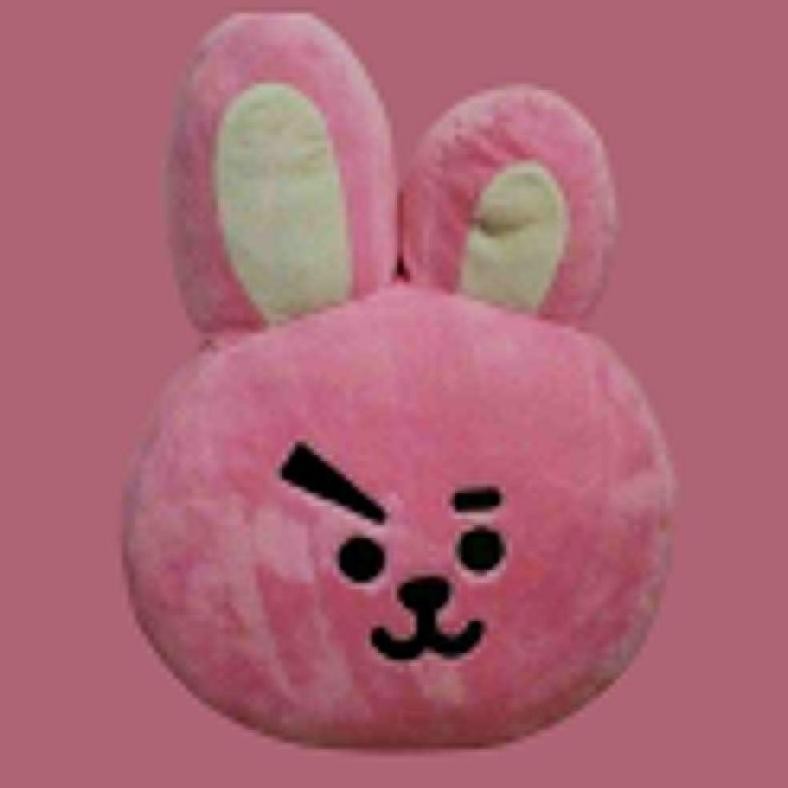 Jual Bantal Boneka BT21 BTS Unofficial Ukuran 40cm cooky shooky tata ...