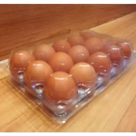 Jual Domdom 25Pcs Mika Telur Isi 15 Pengunci Tebal Egg Box Storage ...