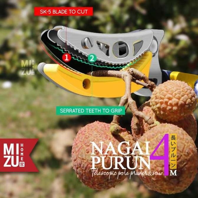 Jual Mizu Nagai Purun 4M Pole Pruner Tongkat Petik Buah Gunting Dahan ...