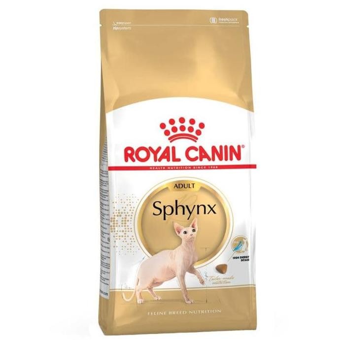 Jual Kucing Sphynx Harga Terlengkap & Harga Terbaru Juni 2026 | Shopee ...