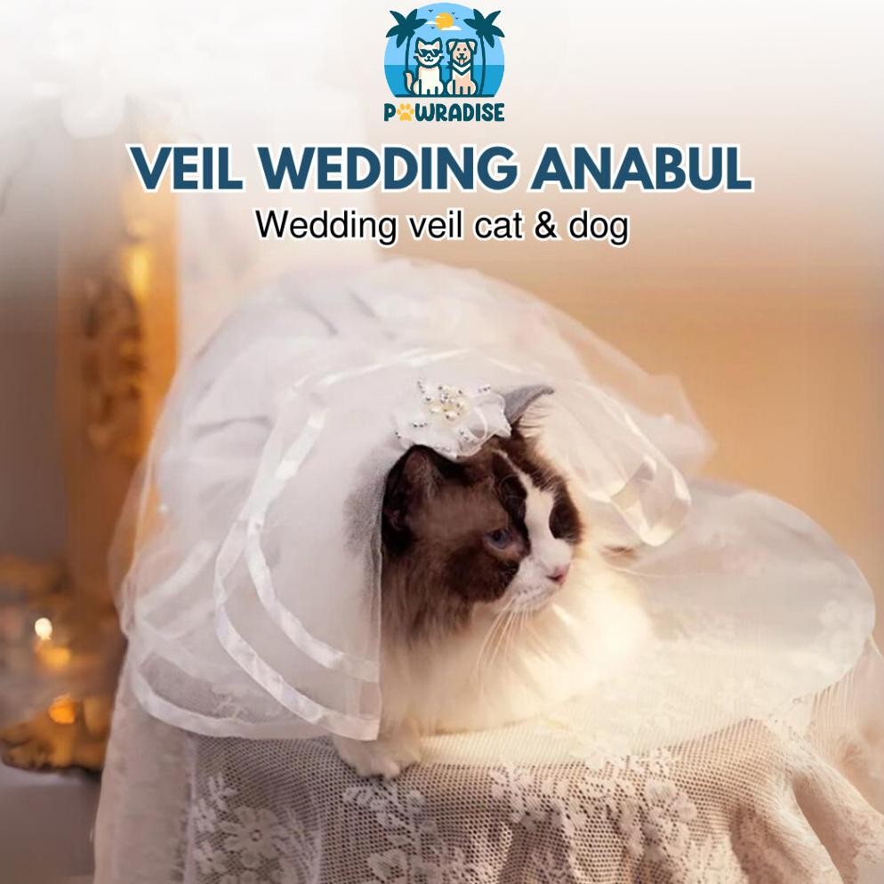 Jual Veil Wedding Kucing Anjing - Pet Veil / Dog Cat Wedding Veil - Aksesoris Pernikahan Hewan ...