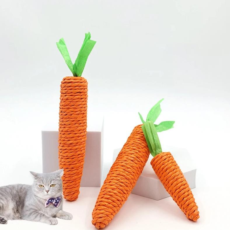 Jual 3pcs Sound Carrot Cat Teething Stick Anti-bite Paper Rope ...