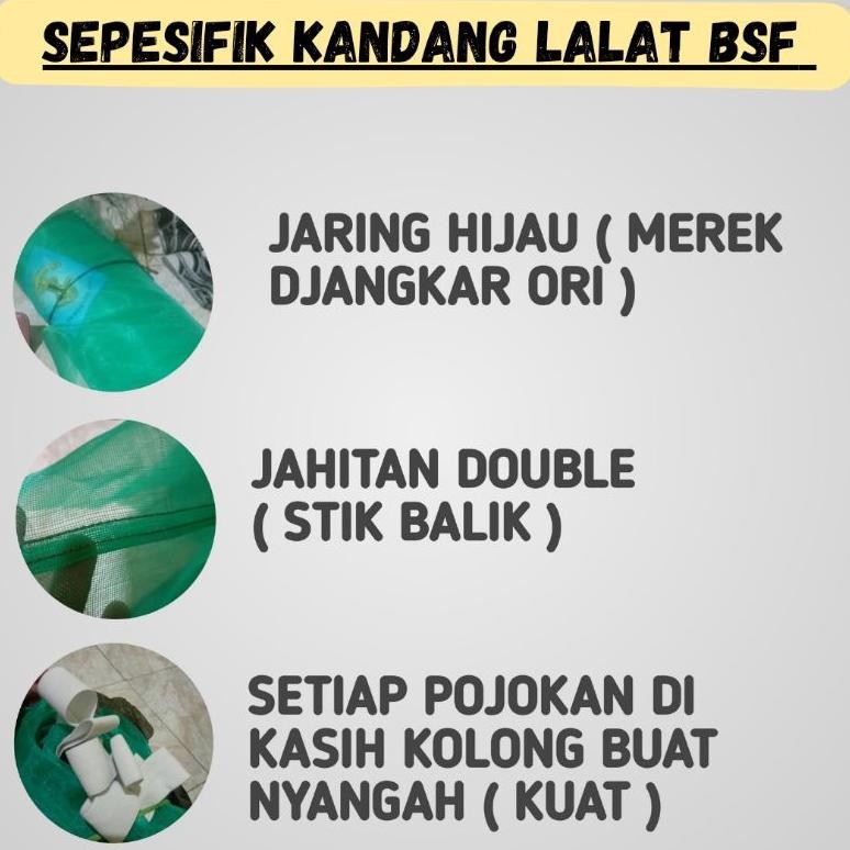 Jual Mc_12 Kandang Lalat Bsf // Jaring Lalat Bsf // Maggot Bsf Ukuran ...