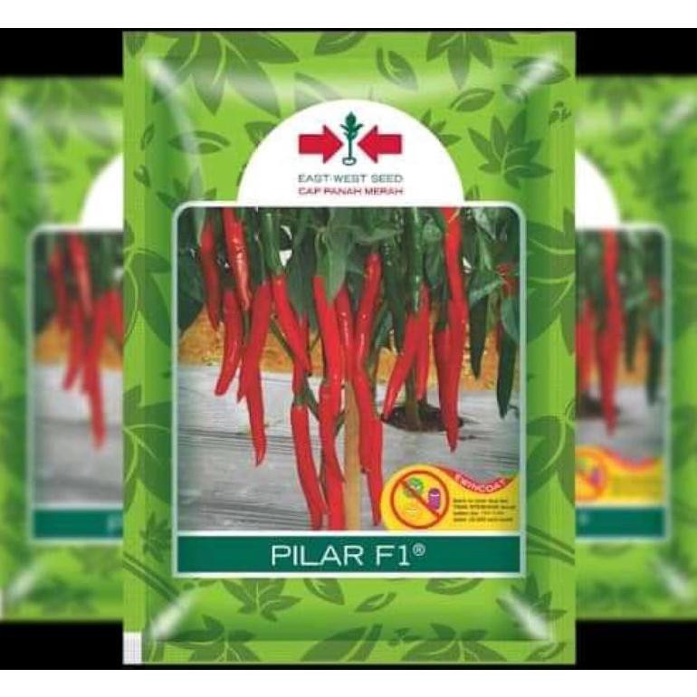 Jual Benih Bibit Cabe Besar pilar F1 isi 1750 butir cap Panah merah ...