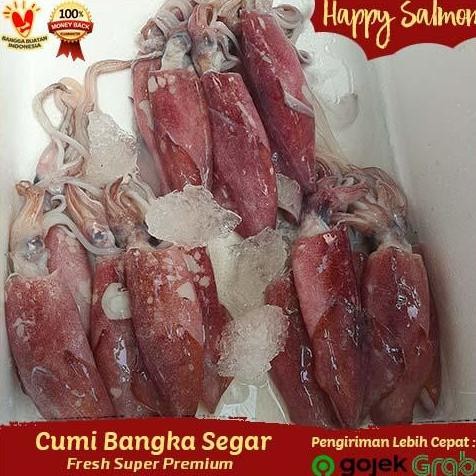 Jual Cumi Bangka Segar Fresh Jumbo 1 Kg Isi 4-6 Ekor | Shopee Indonesia