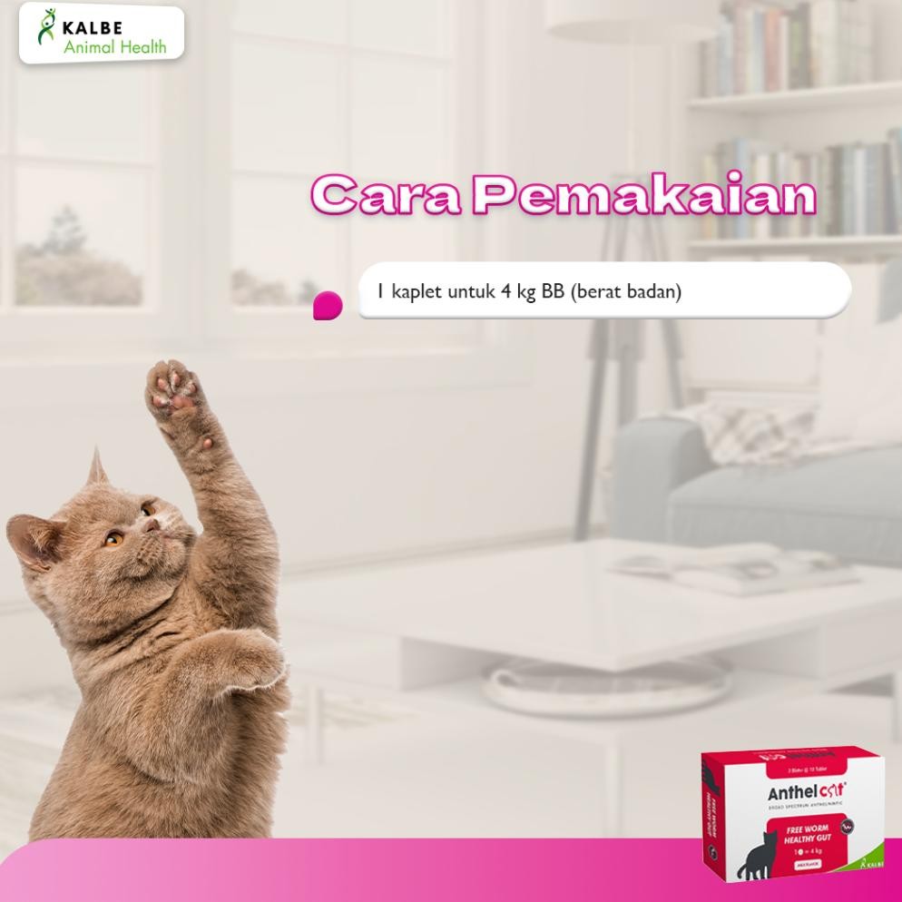 Jual Hot Sale Anthel Cat 1 Tablet - Obat Cacing Kucing By Kalbe ...