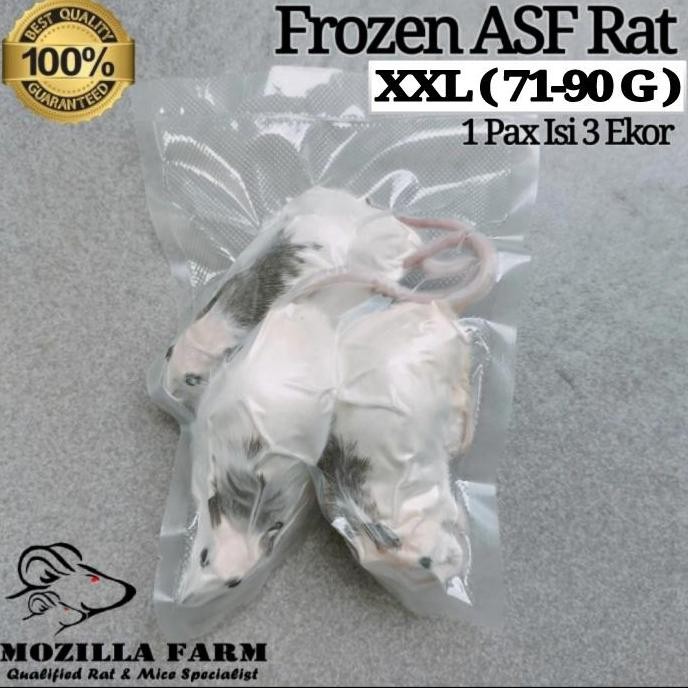 Jual Tikus Asf Beku / Frozen Asf Rat Size Xxl ( Isi 3 Ekor / Pack ...