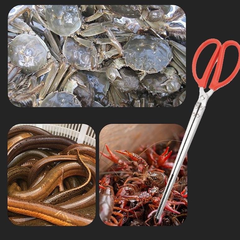 Jual Best Seller Pck-11 62 Cm Gunting Capit Seafood Capitan Ikan Belut ...