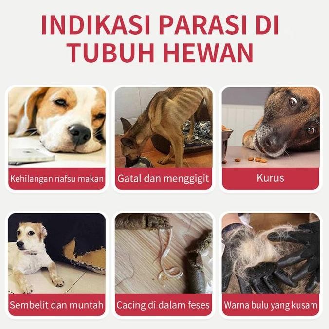Jual PUAINTA Fenbendazole Obat Cacing Kucing Anjing Tablet Obat Cacing ...