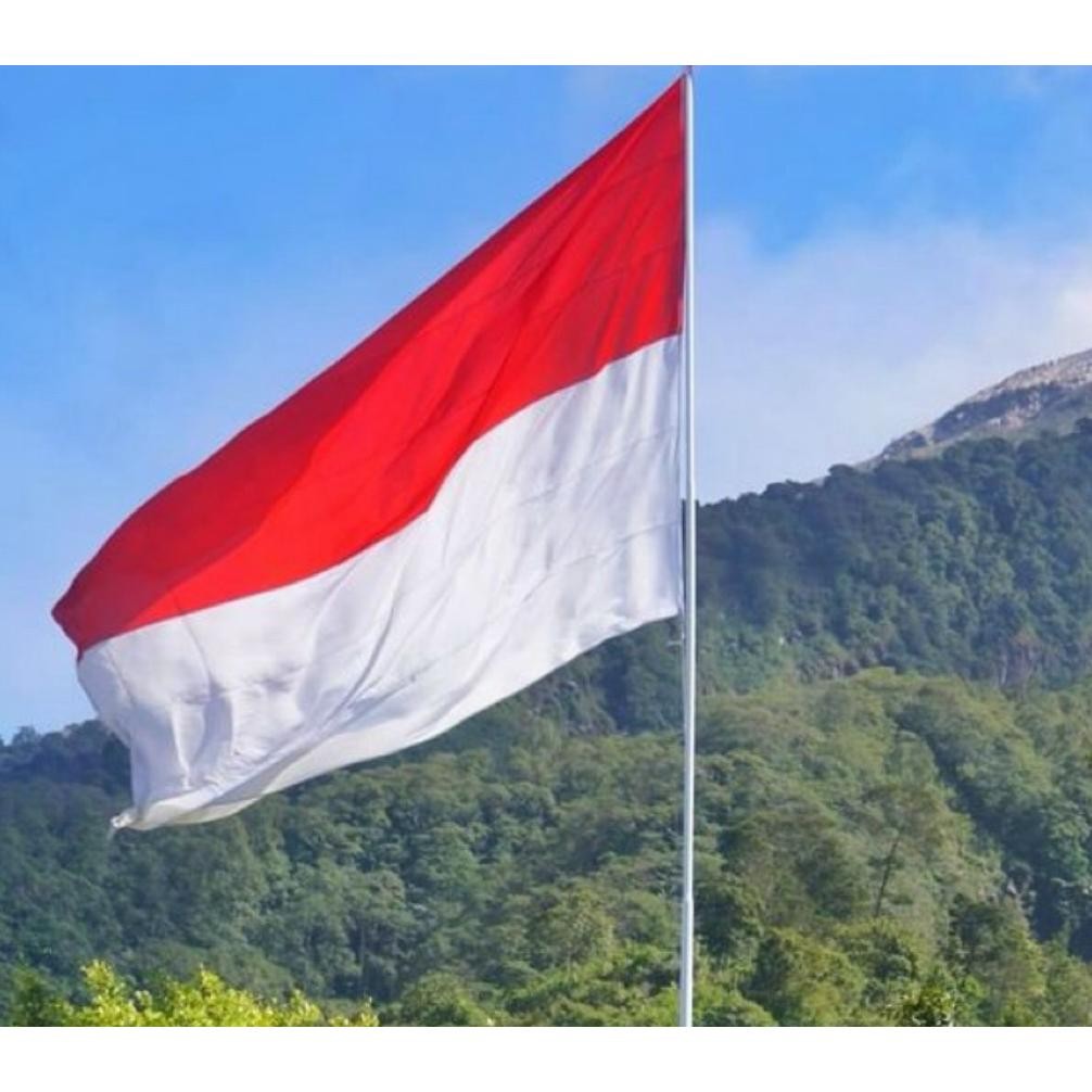 Jual ( 20 Pcs ) Bendera Merah Putih Ukuran 40X60 Bahan Kain Polyester ...