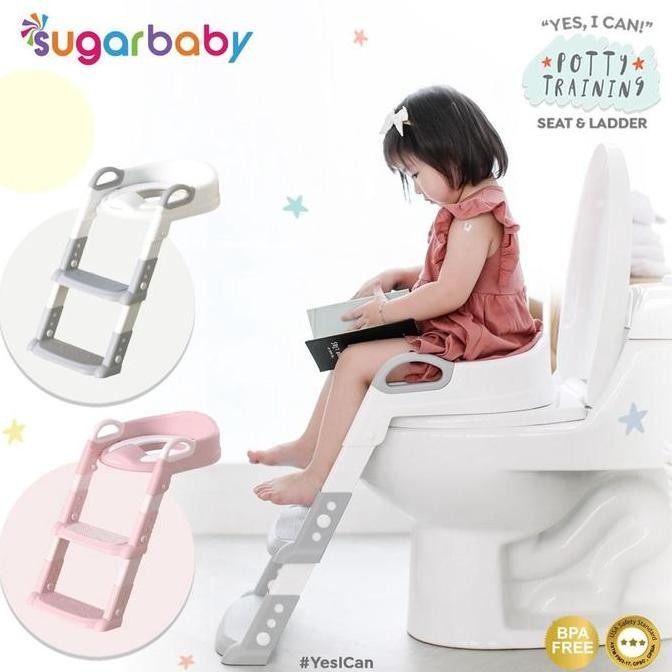 Jual Sugar Baby Potty Training Seat And Ladder Toilet Seat Pispot Bayi ...